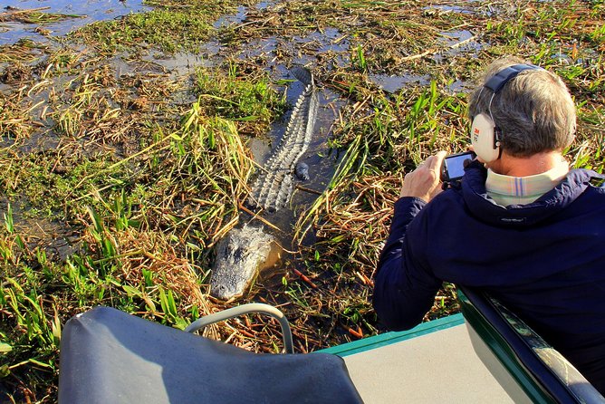 Florida Everglades Airboat Tour and Wild Florida Admission with Optional Lunch - Key Points