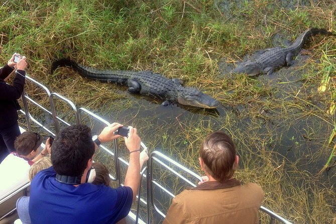 Florida Everglades Airboat Tour and Wild Florida Admission with Optional Lunch - Authentic Insights from Reviewers