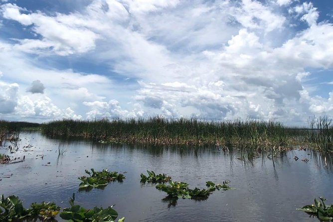 Florida Everglades Airboat Tour and Wild Florida Admission with Optional Lunch - Practical Details & Tips