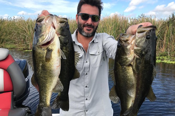 Florida Everglades Fishing Charter Near Fort Lauderdale - In The Sum Up: Who Is This Tour Best For?