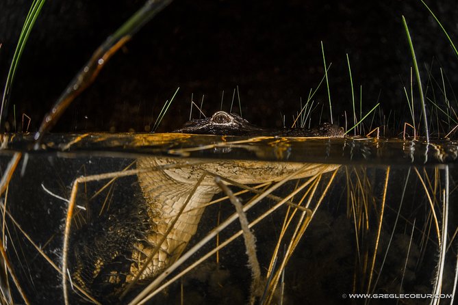 Florida Everglades Night Airboat Tour near Fort Lauderdale - The Details of the Everglades Night Airboat Tour