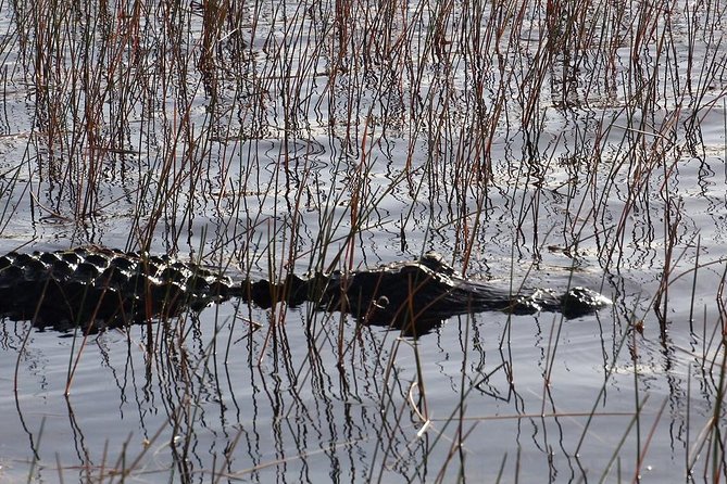 Florida Everglades Night Airboat Tour near Fort Lauderdale - Frequently Asked Questions