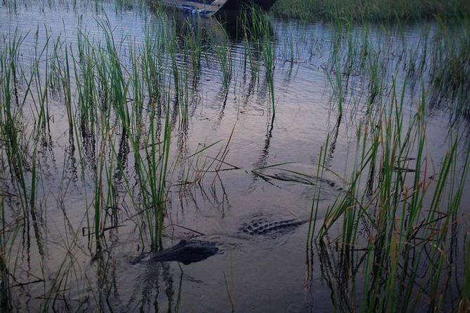 Florida Everglades Private Night Airboat Ride Tour - Frequently Asked Questions