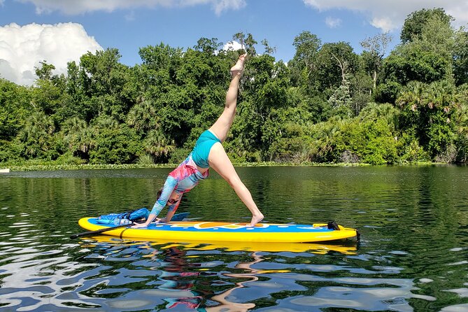 Florida Freshwater Springs Paddle Board Tour - The Value and Experience: Is It Worth It?