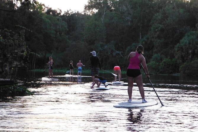 Florida Freshwater Springs Paddle Board Tour - Final Thoughts: Is It the Right Adventure for You?