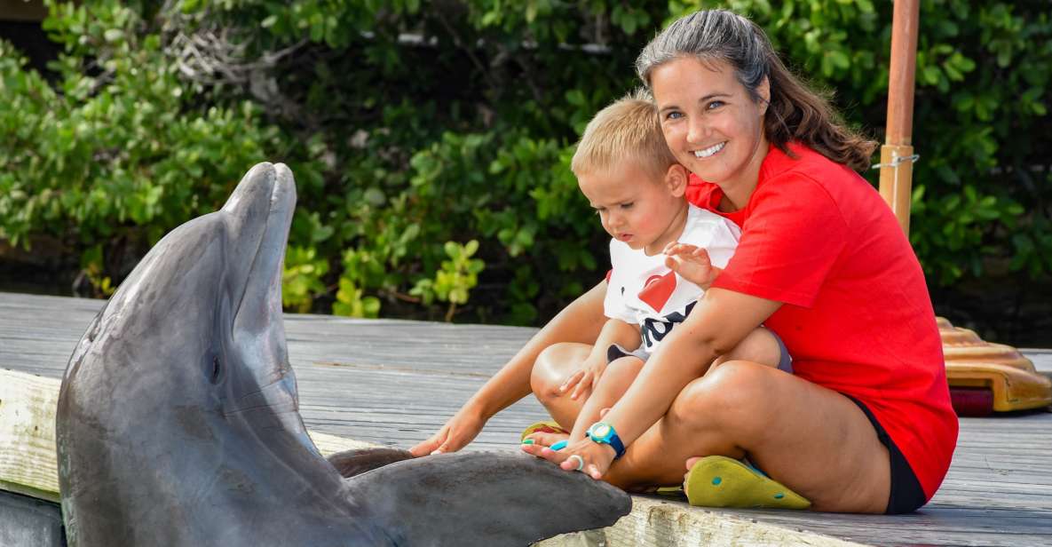 Florida Keys: Dockside Dolphin Experience - What to Expect During Your Dolphin Dockside Encounter
