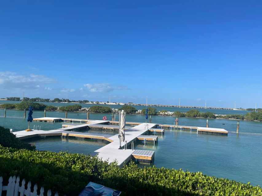 Florida Keys: Dockside Dolphin Experience - What Do Guests Say? Real Insights from Reviews