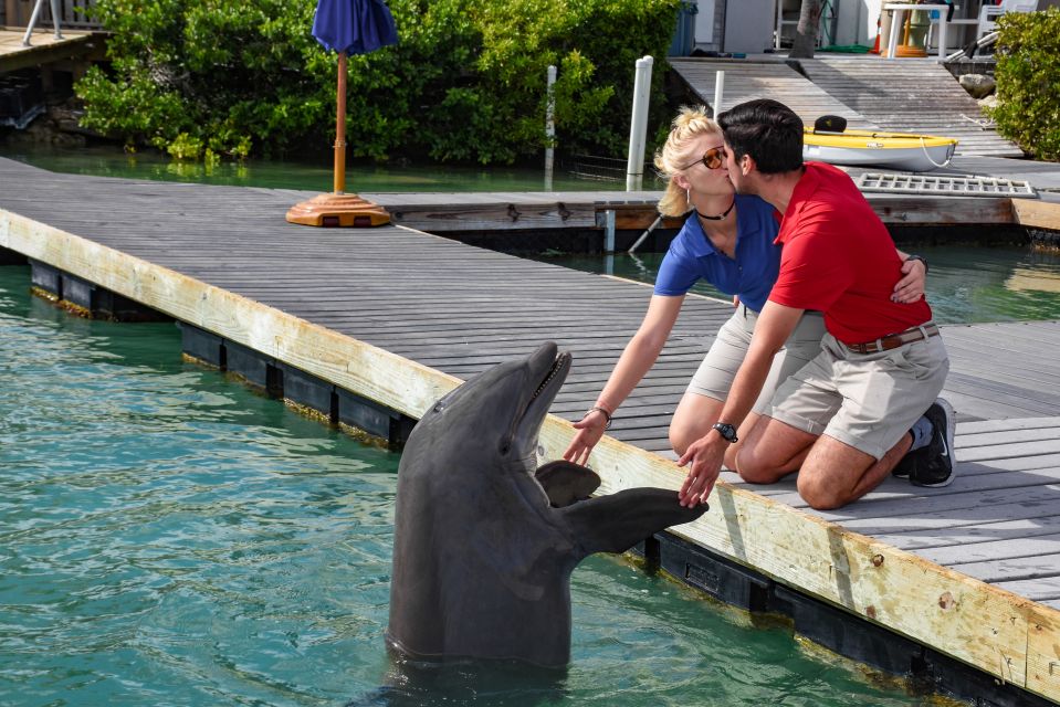Florida Keys: Dockside Dolphin Experience - Who Will Love This Experience?