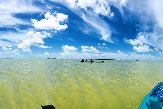 Florida Keys Eco Tour: Snorkel, Kayak, Lunch + Transportation! - An Honest Look at a Full-Day Florida Eco Adventure