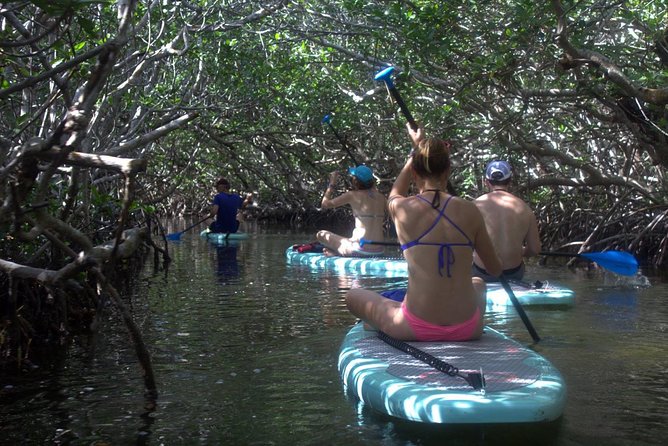 Florida Keys Eco Tour: Snorkel, Kayak, Lunch + Transportation! - What’s Included and What’s Not