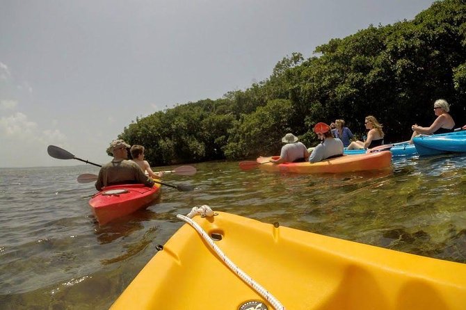 Florida Keys Eco Tour: Snorkel, Kayak, Lunch + Transportation! - How the Day Unfolds