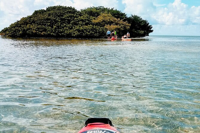 Florida Keys Eco Tour: Snorkel, Kayak, Lunch + Transportation! - Authentic Experiences and Guide Insights