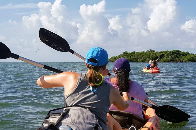 Florida Keys Eco Tour: Snorkel, Kayak, Lunch + Transportation! - Practical Tips for Making the Most of Your Day