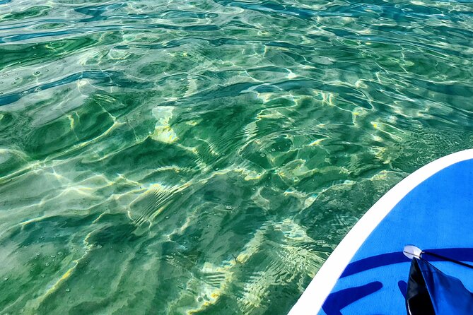 Florida Keys Eco Tour: Snorkel, Kayak, Lunch + Transportation! - Who Would Love This Tour?