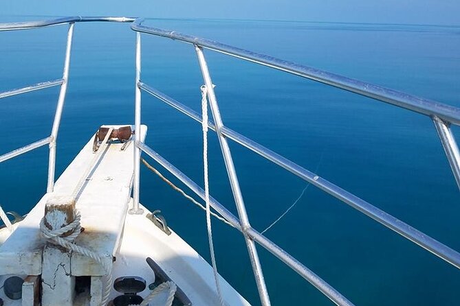 Florida Keys Eco Tour: Snorkel, Kayak, Lunch + Transportation! - The Sum Up