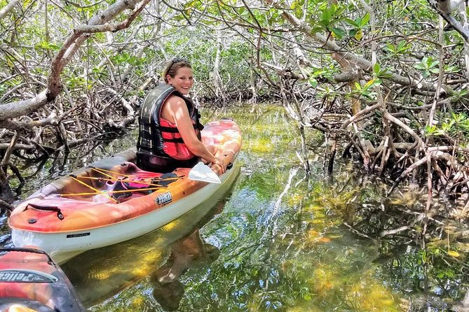 Florida Keys Eco Tour: Snorkel, Kayak, Lunch + Transportation! - FAQ