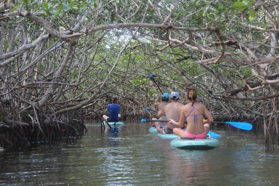 Florida Keys: Full-Day Kayak + Snorkel Coral Reef Adventure - An In-Depth Look at the Experience 