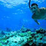 Florida Keys: Full-Day Kayak + Snorkel Coral Reef Adventure - Why This Tour Offers Great Value