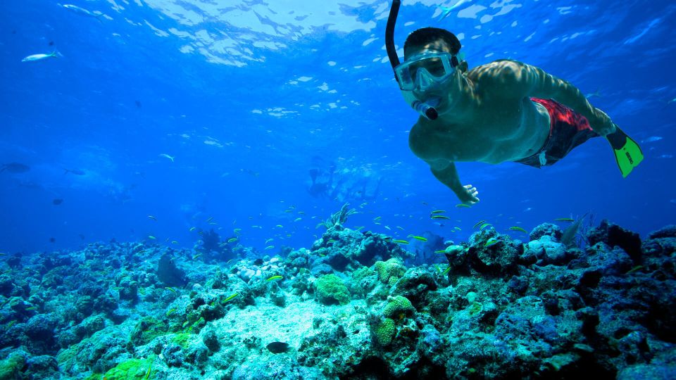 Florida Keys: Full-Day Kayak + Snorkel Coral Reef Adventure - Why This Tour Offers Great Value