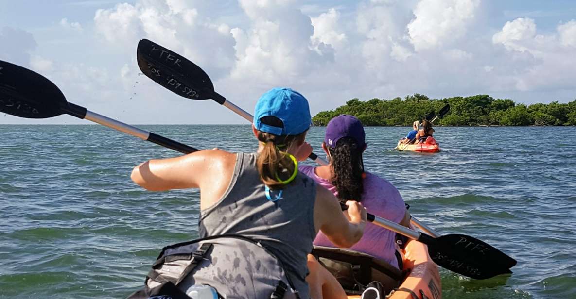 Florida Keys: Full-Day Kayak + Snorkel Coral Reef Adventure - FAQ