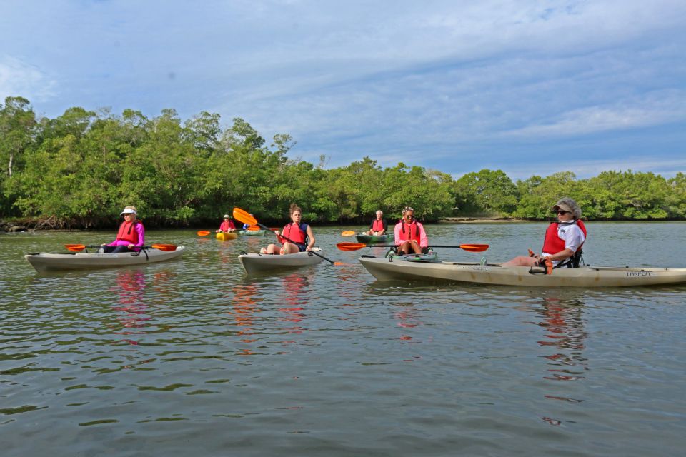 Florida Keys: Key West Kayak Eco Tour with Nature Guide - What Does the Experience Cost & Is It Worth It?