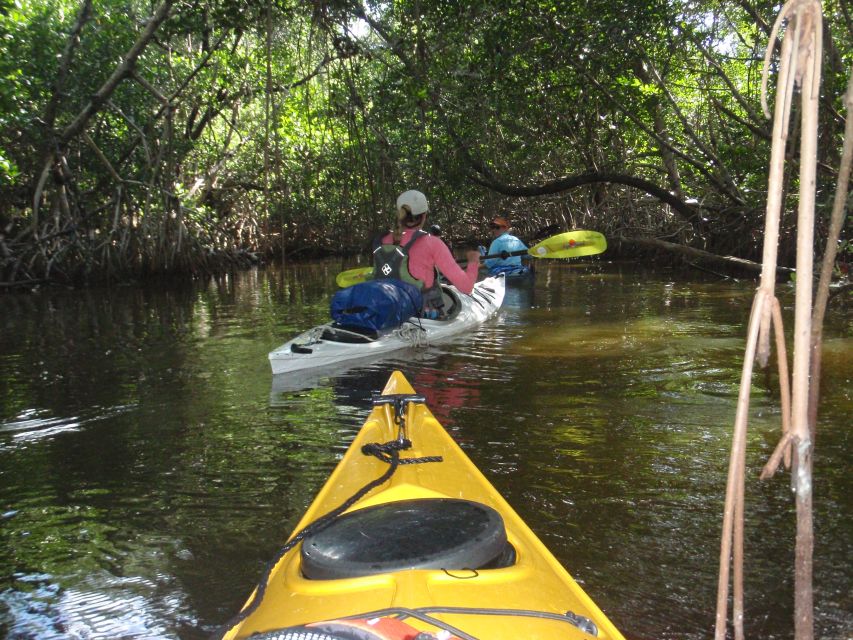 Florida Keys: Key West Kayak Eco Tour with Nature Guide - Why You Should Consider This Tour