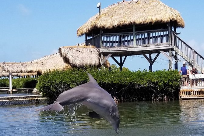 Florida Keys Tour and Private Transportation service - Who Would Love This Experience?