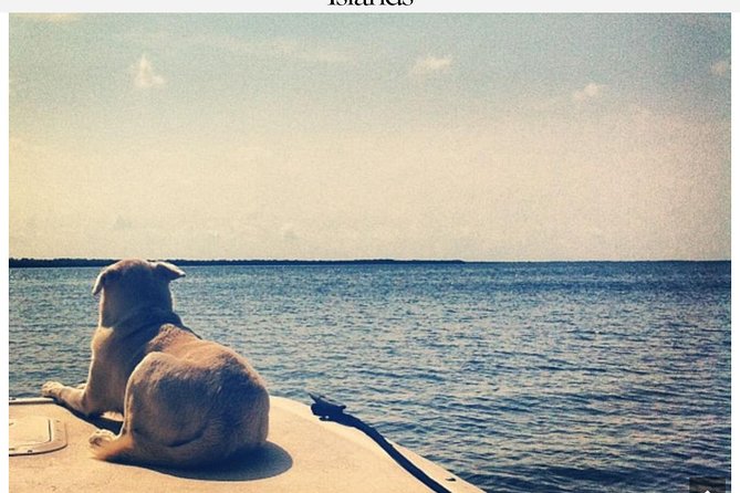 Florida Keys Tour and Private Transportation service - The Sum Up