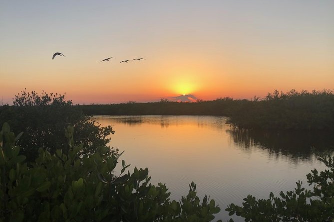 Florida Sunset and Bioluminescence Package - What Is the Florida Sunset and Bioluminescence Package?
