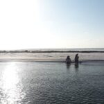 Florida's Beautiful Beaches and Waterways Private Tour - Final Thoughts