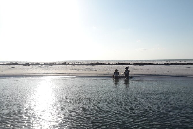 Florida's Beautiful Beaches and Waterways Private Tour - Final Thoughts