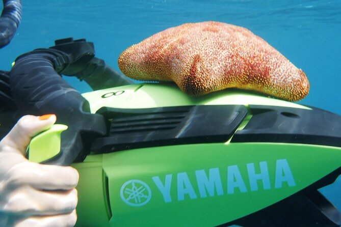 Flotation Therapy Rental 24 Hr Float Wetsuit, Goggle, Headphone - What Is Flotation Therapy in Maui?