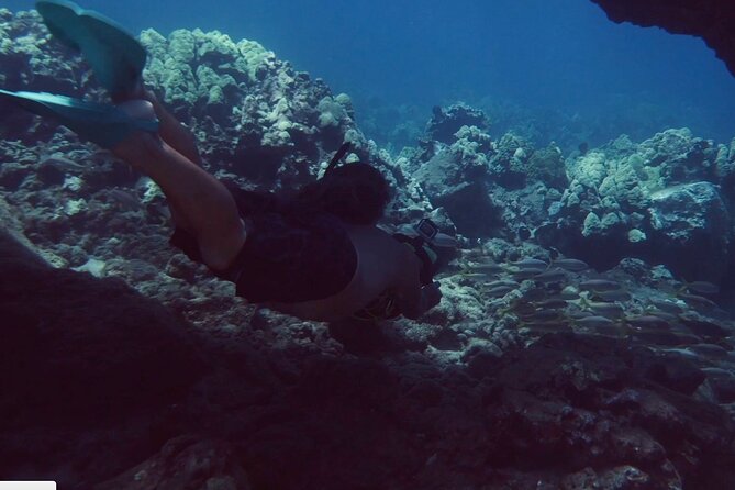 Flotation Therapy - Rental Float Suits, Goggles, Headphones 24 hr - Practical Tips for Your Maui Snorkeling Adventure