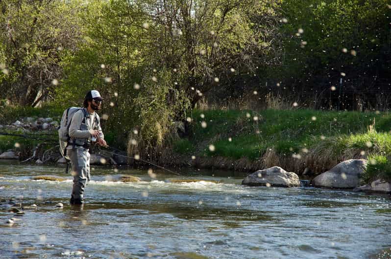Fly Fish Utah Blue Ribbon Trout Waters - The Allure of Utahs Trout Waters