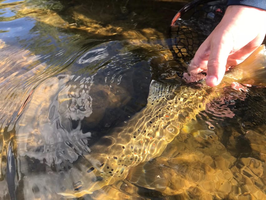 Fly Fish Utah Blue Ribbon Trout Waters - The Itinerary
