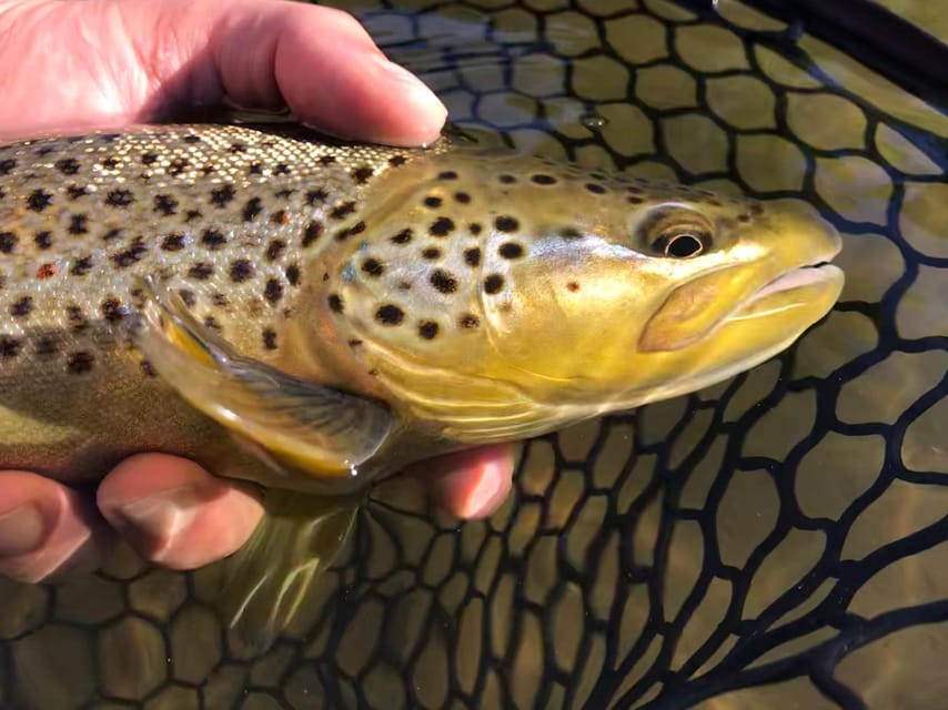 Fly Fish Utah Blue Ribbon Trout Waters - The Scenic and Cultural Context