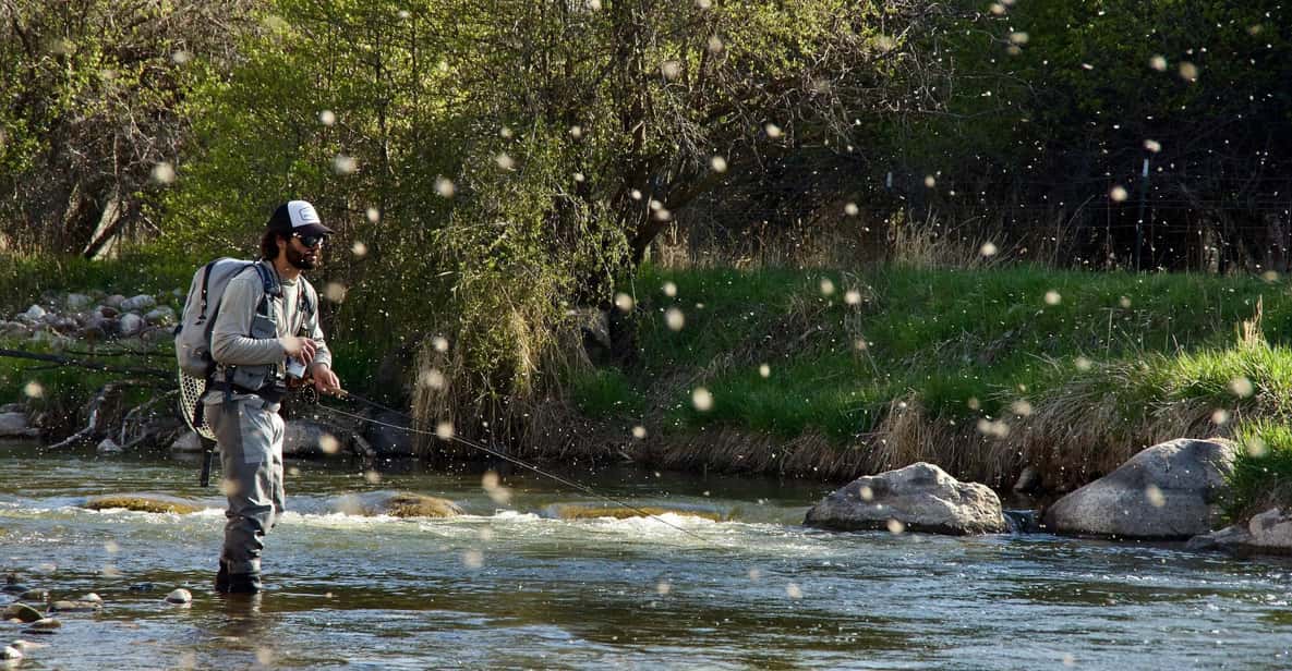 Fly Fish Utah Blue Ribbon Trout Waters - Pricing and Value