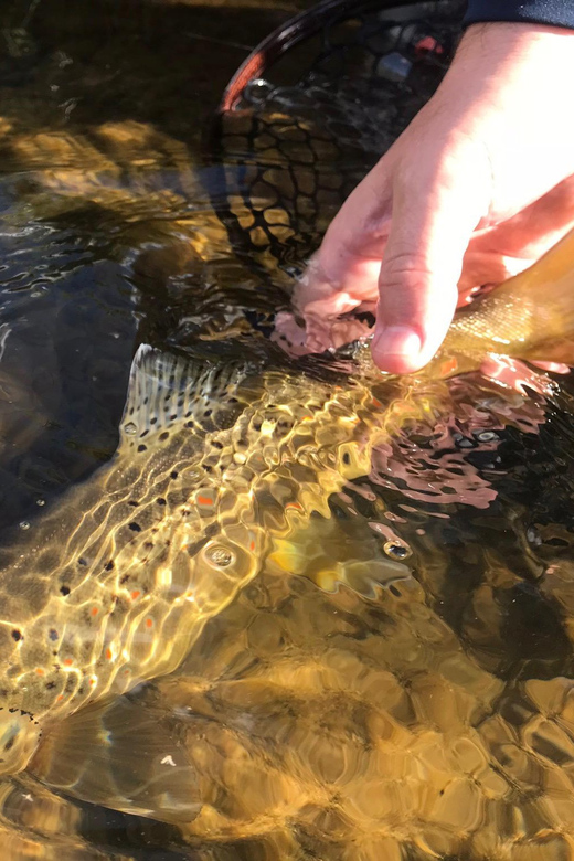 Fly Fish Utah Blue Ribbon Trout Waters - Who Should Consider This Tour?