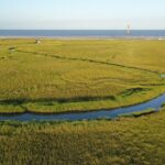 Folly OBX Filming Locations and Pogue Life Boat Tour w/ Dolphins - What’s Included and What to Consider
