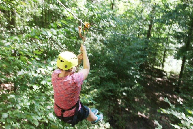 Fontanel Zipline Forest Adventure at Nashville North - An In-Depth Look at the Fontanel Zipline Forest Adventure