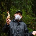 Foraging Tour of Edible Plants and Mushrooms in Brinnon - Why This Tour Stands Out
