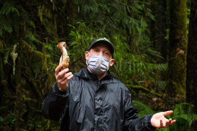 Foraging Tour of Edible Plants and Mushrooms in Brinnon - Why This Tour Stands Out