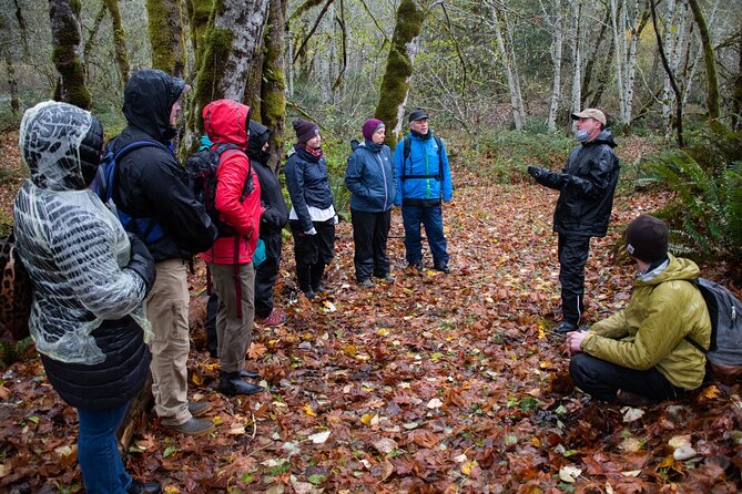 Foraging Tour of Edible Plants and Mushrooms in Brinnon - Who Would Enjoy This Tour?