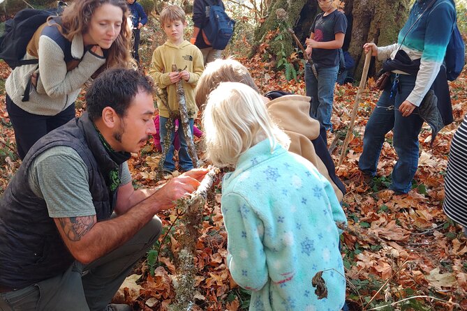 Foraging Tour of Edible Plants and Mushrooms in Brinnon - The Sum Up
