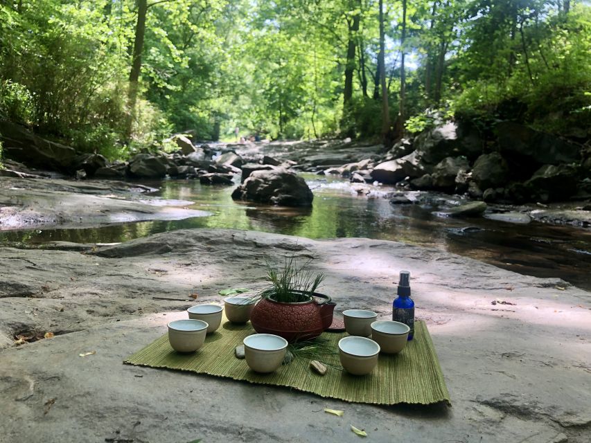 Forest Bathing & Nature Therapy Mini-Retreat - What Makes This Experience Unique?