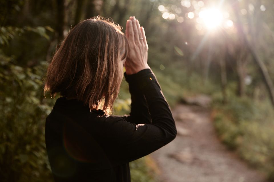 Forest Bathing & Nature Therapy Mini-Retreat - The Itinerary: What To Expect in Detail