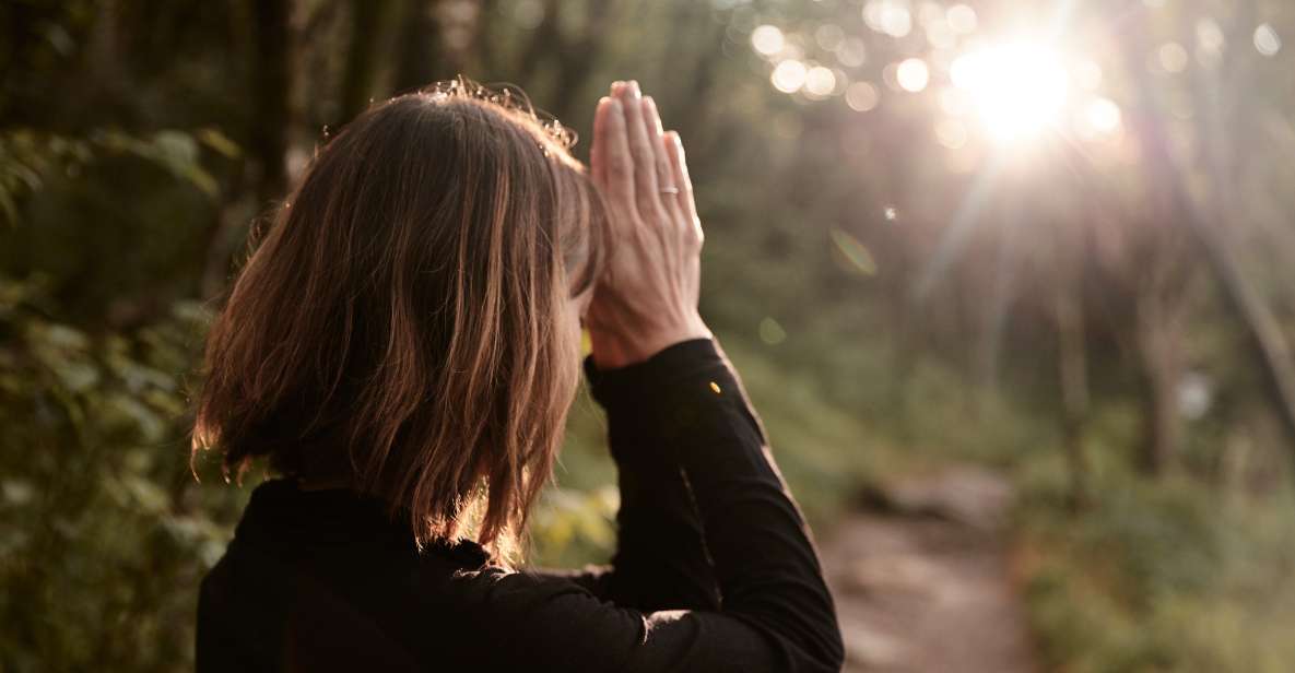 Forest Bathing & Nature Therapy Mini-Retreat - Practical Details and Tips