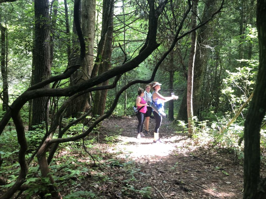 Forest Bathing & Nature Therapy Mini-Retreat - The Sum Up