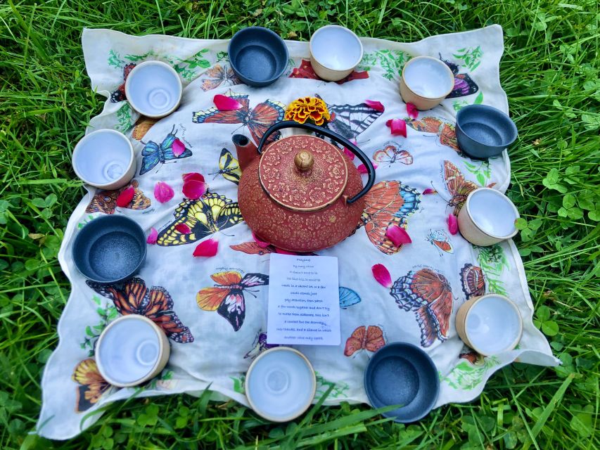 Forest Bathing & Nature Therapy Mini-Retreat - FAQs