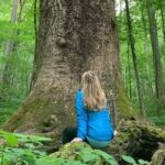 Forest Bathing & Nature Therapy Walk - Key Points